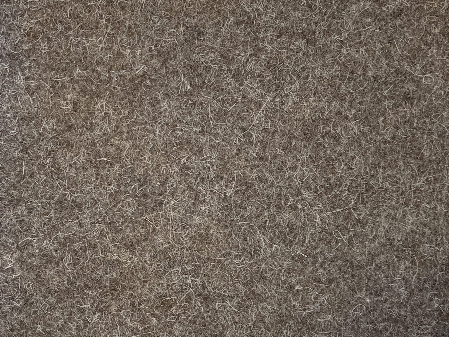 Wool Felt - Bio Felt Dark Beige - Bellarine Sewing Centre
