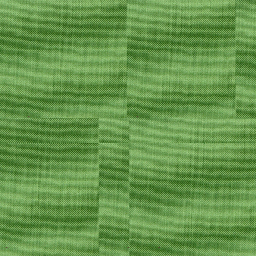Devonstone Collection - Solids - DV030 Crocodile Green - Bellarine Sewing Centre